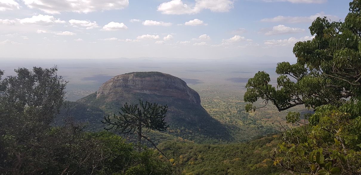 East African lichens – Lichens from East Africa and elsewhere